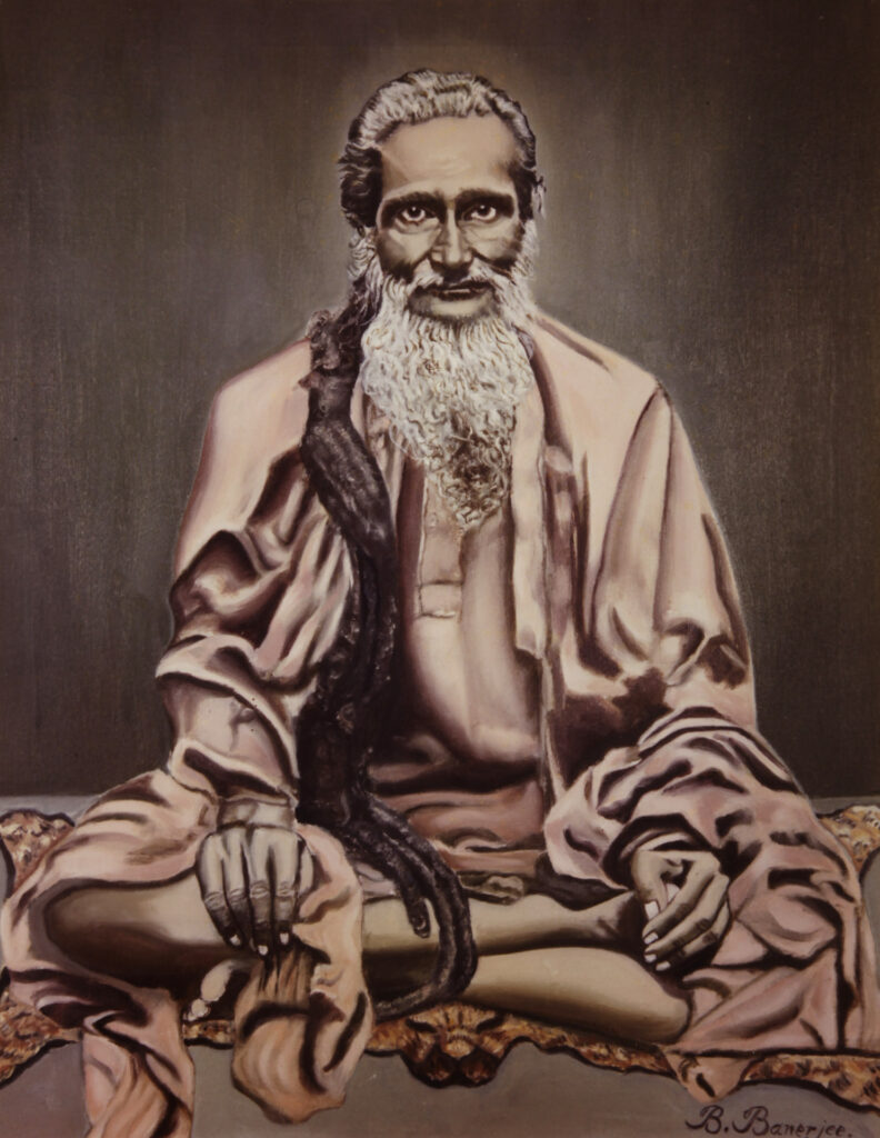 Director - Universidad de la Consciencia