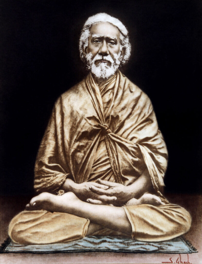 Director - Universidad de la Consciencia